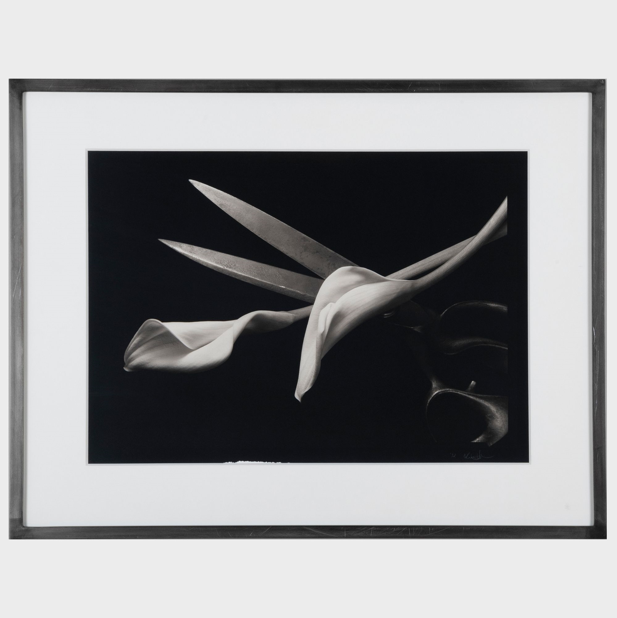 Kenro Izu | Still Life | MutualArt