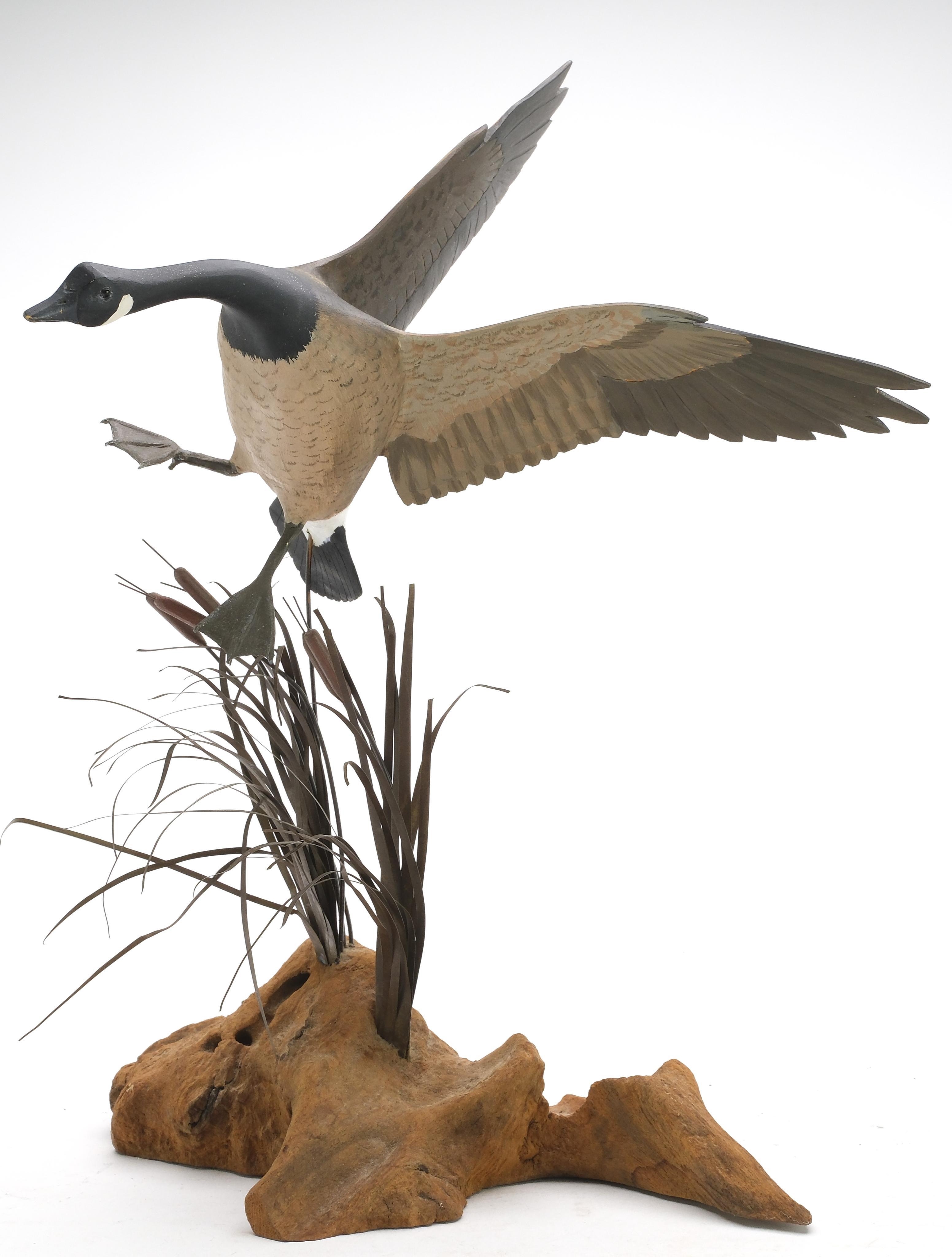 Clarence Sanders | Canada goose in flight | MutualArt