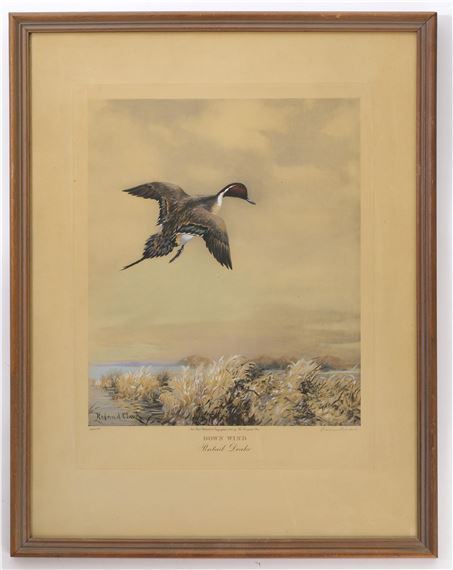Rowland Clack | Down wind- pintail drake (1937) | MutualArt