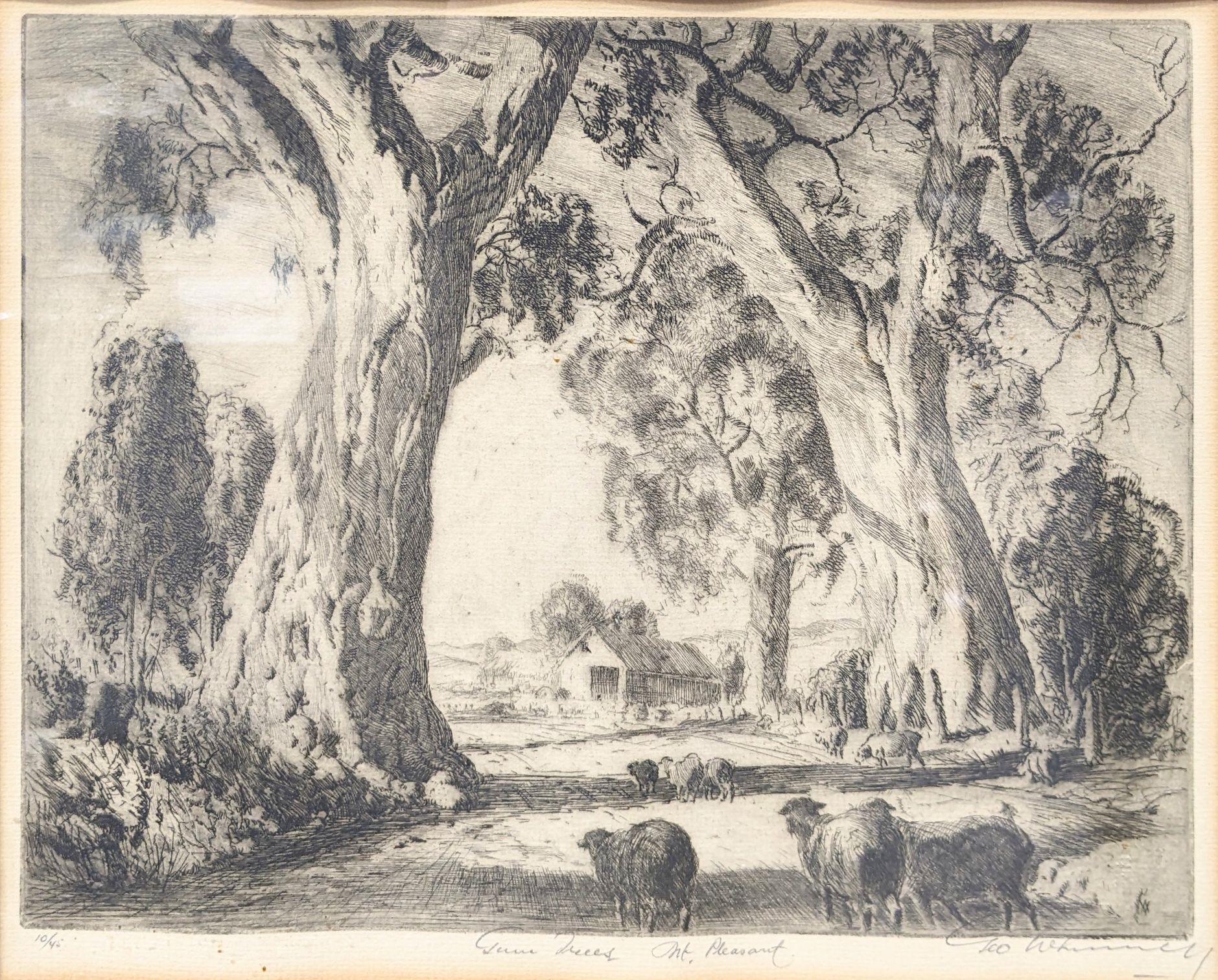 George Whinnen | Gum Trees | MutualArt