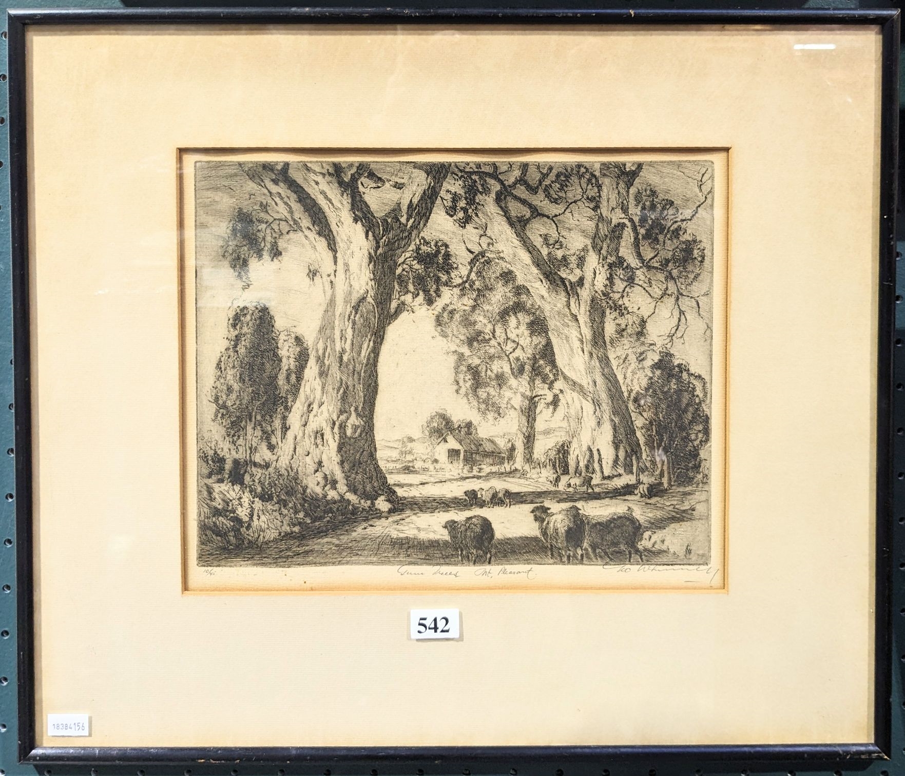 George Whinnen | Gum Trees | MutualArt