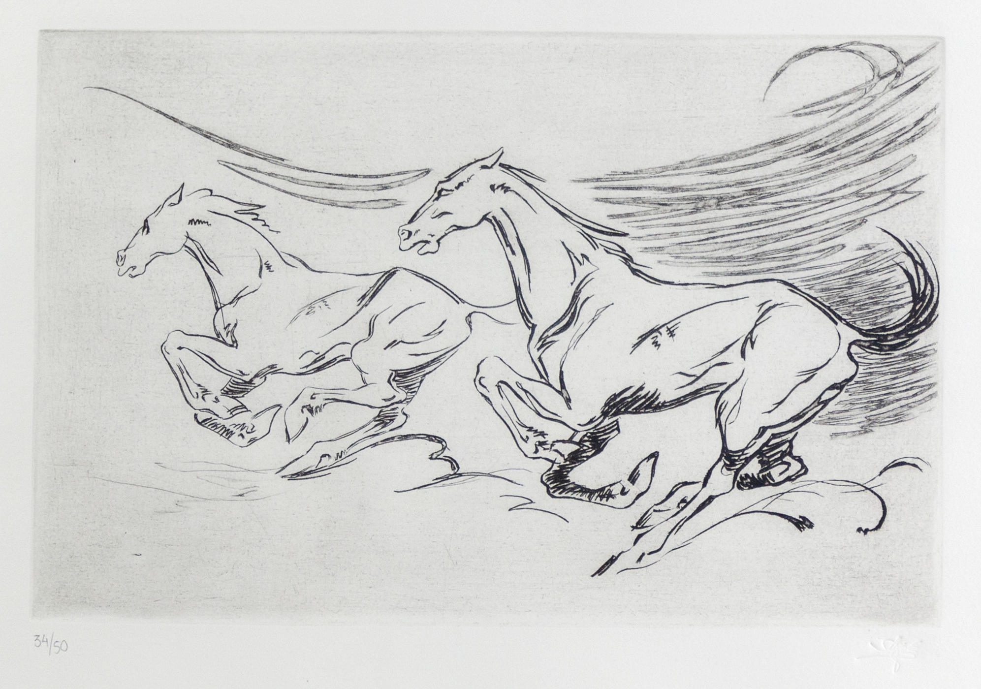 Alexandros Alexandrakis | Freedom | MutualArt