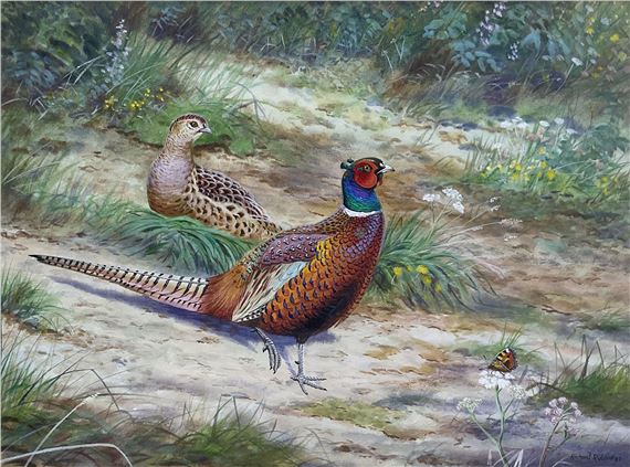Richard Robjent | Pheasants and Butterfly (82) | MutualArt