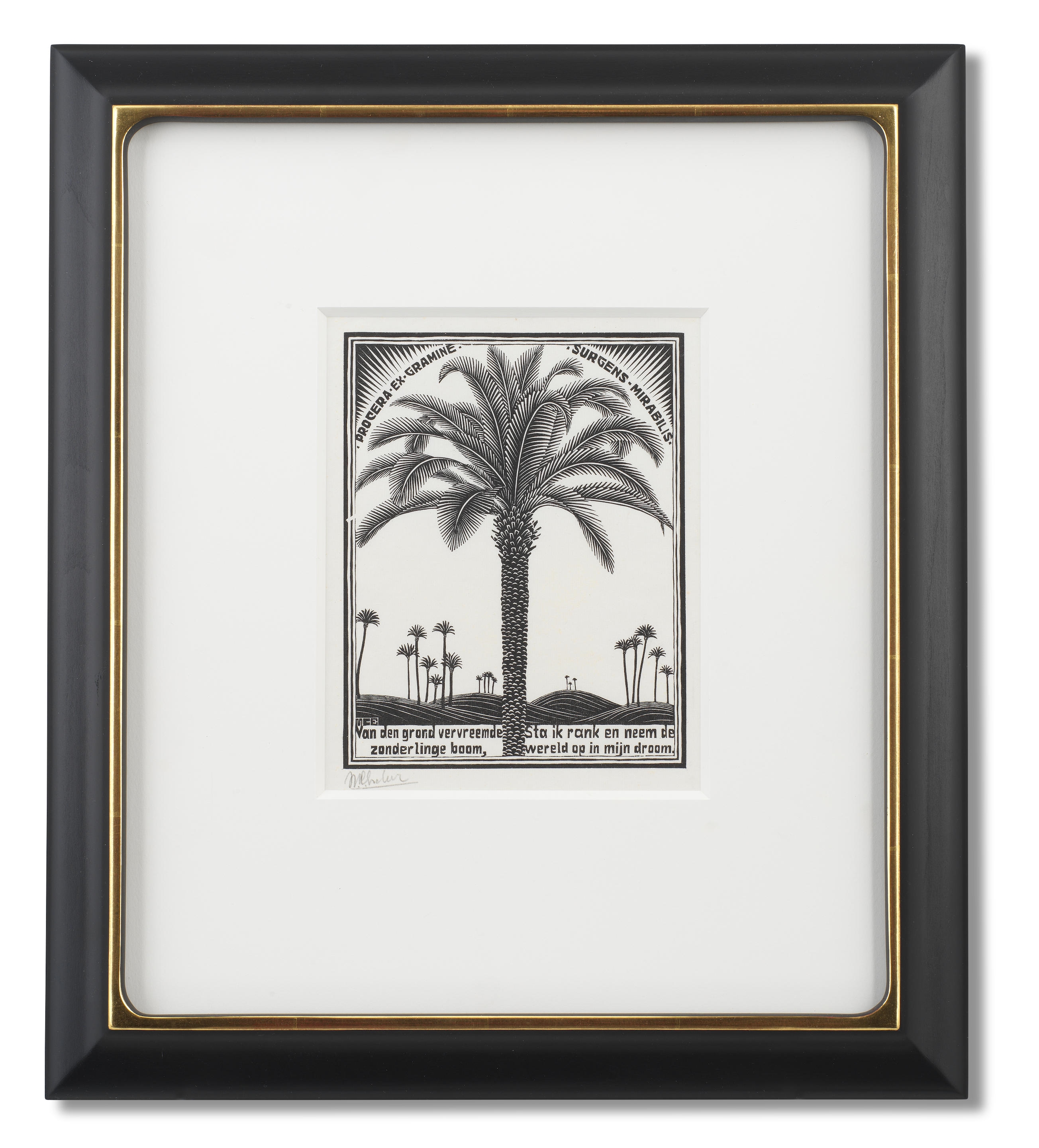 Maurits Cornelis Escher | Palm Tree, fromXXIV Emblemata (1931) | MutualArt