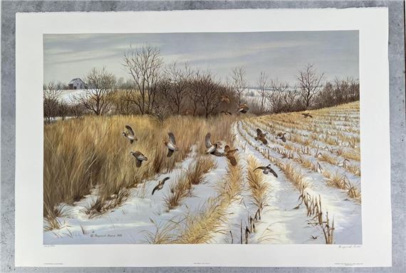 Maynard Reece | Maynard Reece Quail Country Print | MutualArt