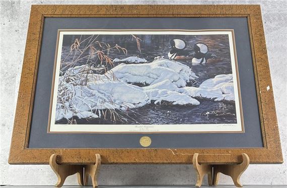 Bruce Miller | Bruce Miller Hooded Mergansers Print | MutualArt