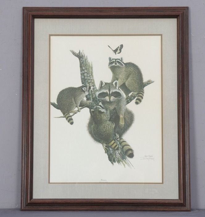 Ray Harm | Raccoon | MutualArt