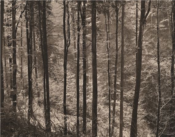 Jean-Paul Rohner | 1 Artworks at Auction | MutualArt