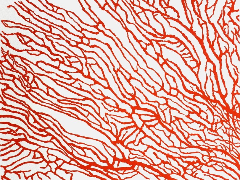 Béatrice‏ Giffo | Gorgones | MutualArt