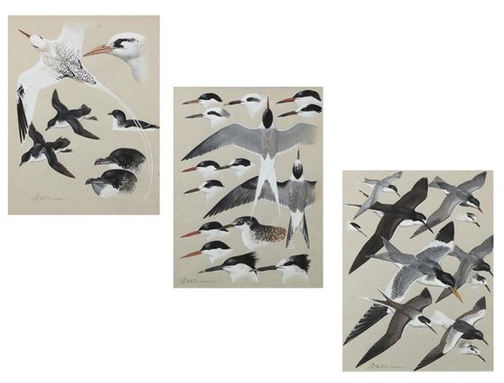 Keith Shackleton | After the Gale (1965) | MutualArt