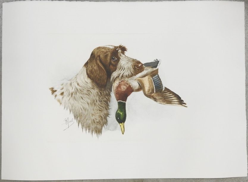 Boris Riab | Griffin and duck | MutualArt