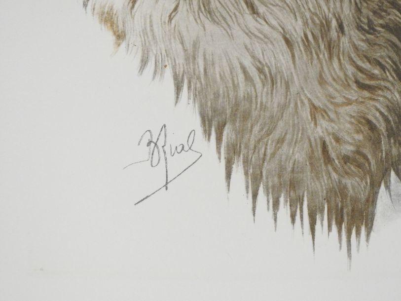 Boris Riab | Griffin and duck | MutualArt