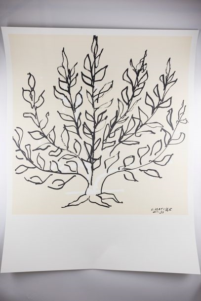 Henri Matisse | Le Buisson, 1951 Lithographed reproduction on Art ...