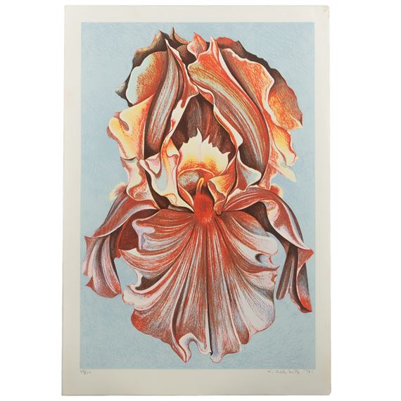 Lowell Nesbitt | Pink Iris (1933) | MutualArt