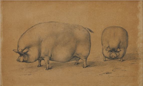 Eugene Verboeckhoven | Pigs, 1851 | MutualArt
