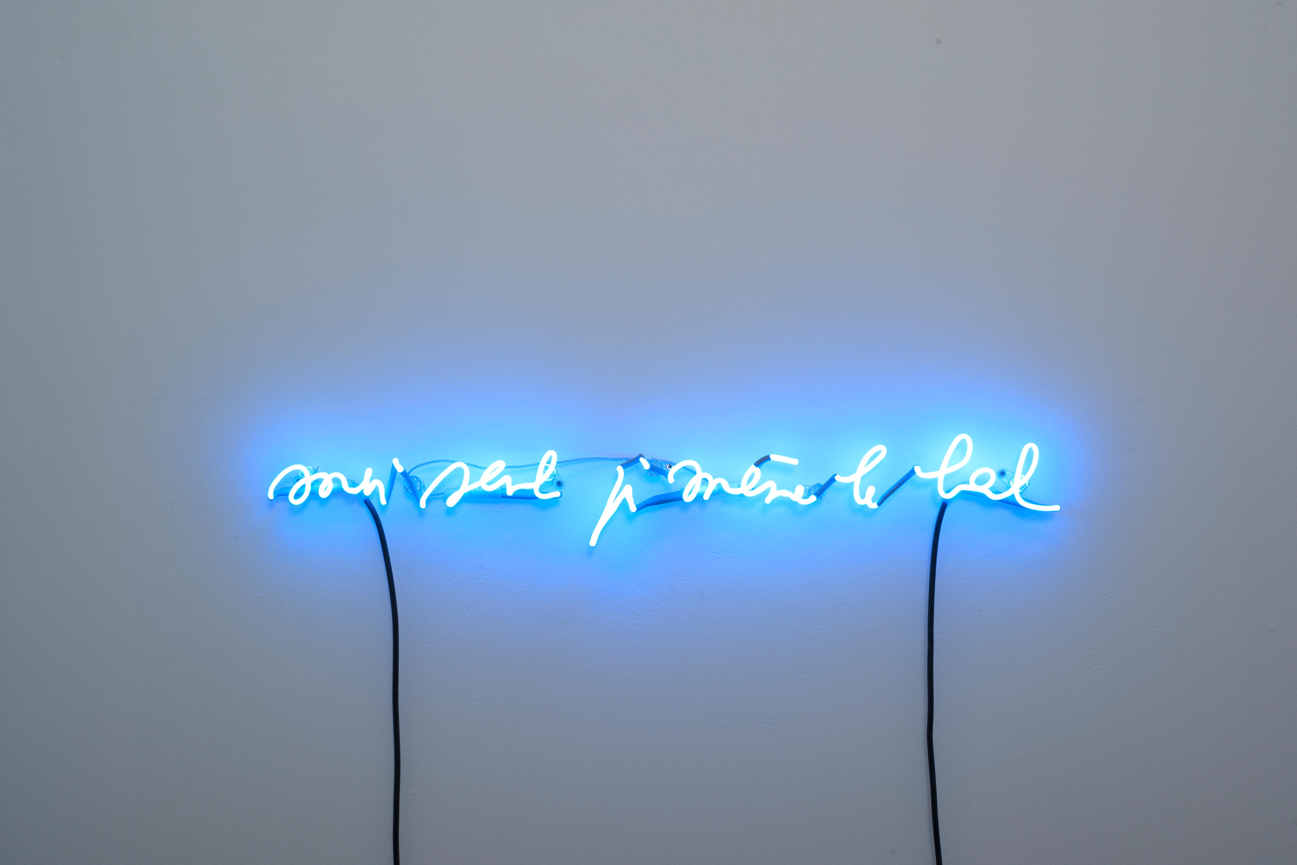 Thu Van Tran | Mots d'ordre : Moi seul je mène le bal (2014) | MutualArt