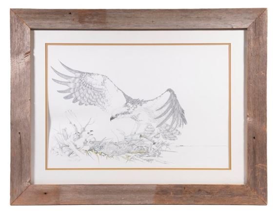 Peter Kommer Parnall | Hawk's Nest with Chicks | MutualArt