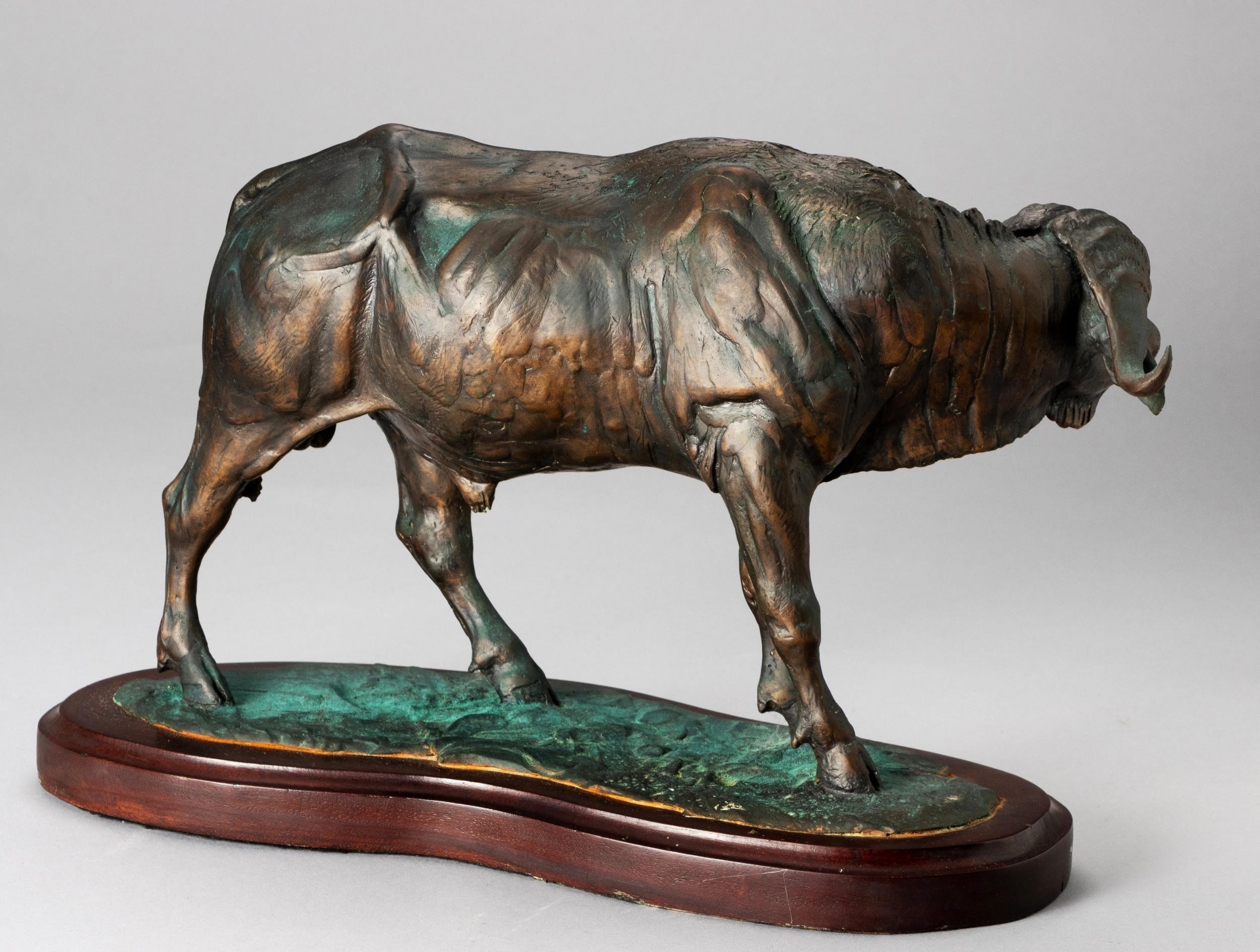 Arend Eloff | BUFFALO (2010) | MutualArt