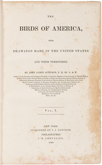 John James Audubon | Birds of America (1826 - 1839) | MutualArt