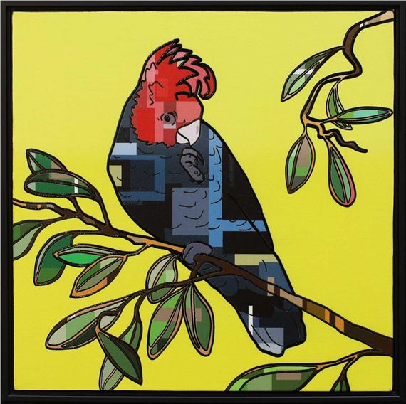 Rick Mills | Gallah (2022) | MutualArt