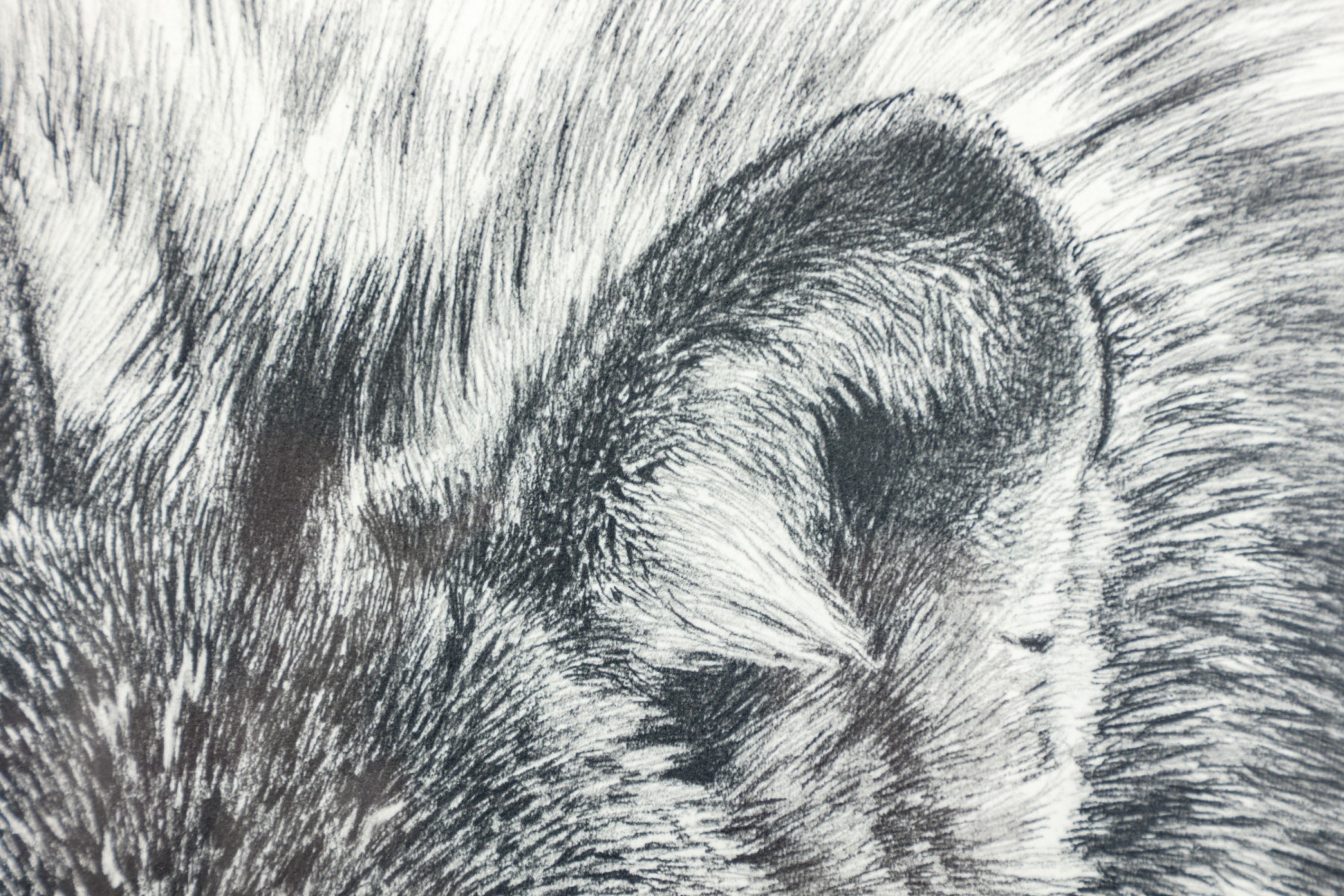 Carl Brenders | Den Mother-Pencil Sketch | MutualArt