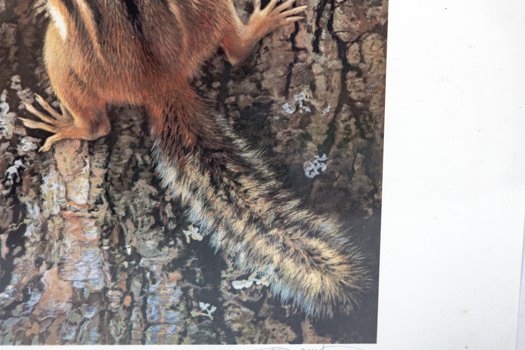 Carl Brenders | Narrow Escape-Chipmunk | MutualArt