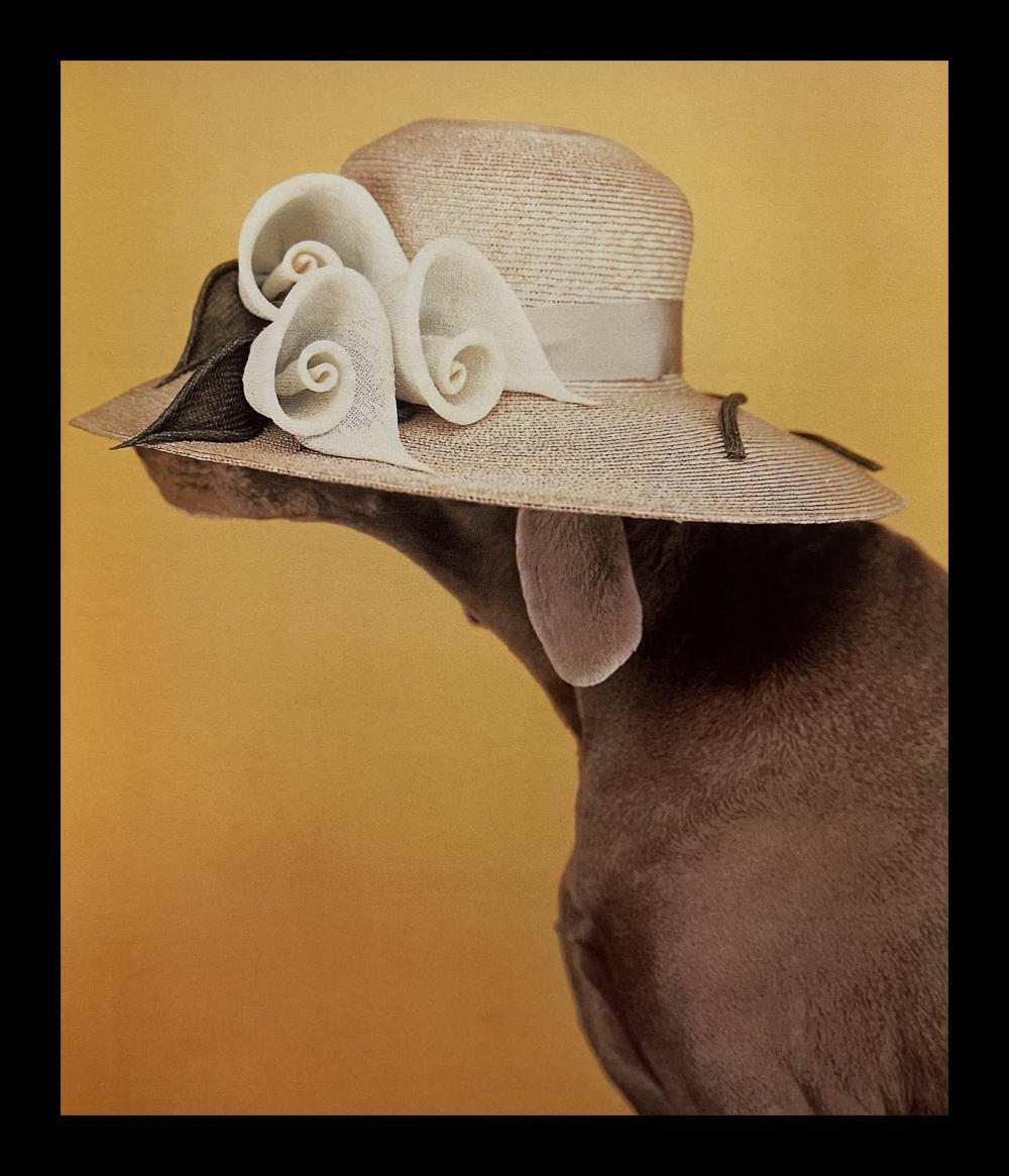 William Wegman | William Wegman, Cereminial Headwear, 1999 (1999 ...