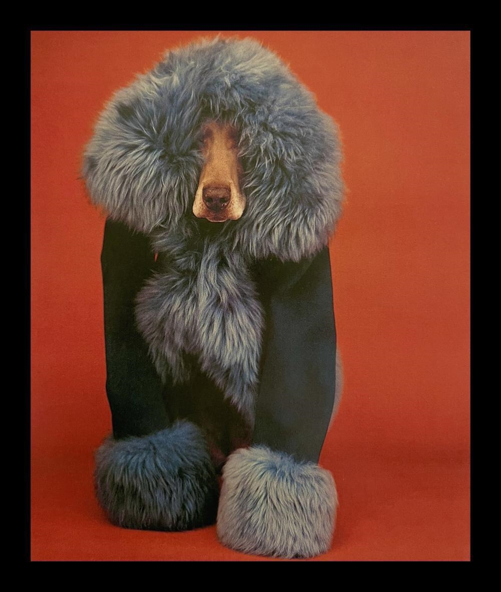 William Wegman | William Wegman, Body Art, 1999 (1999) | MutualArt