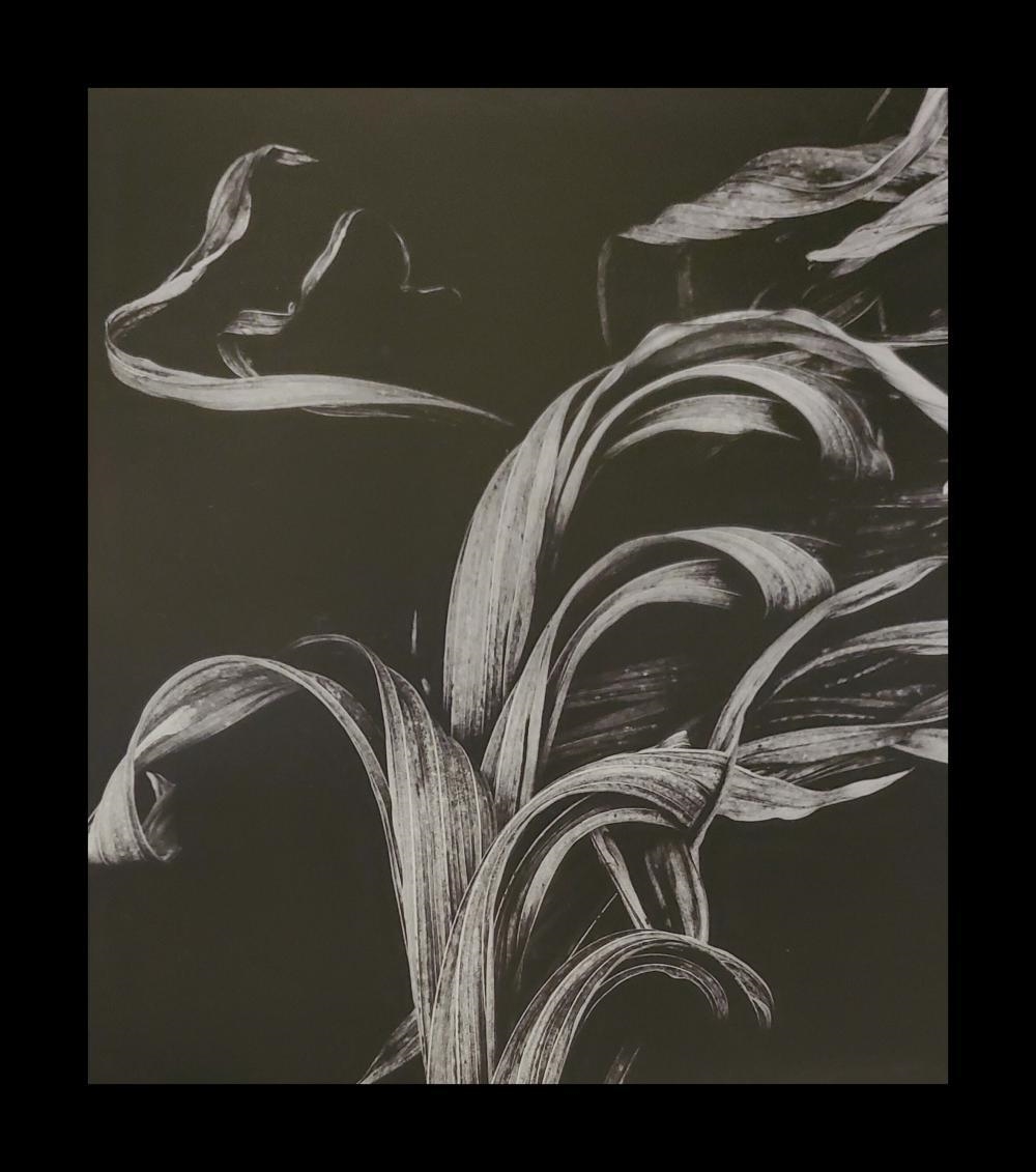 Brett Weston | Lake and Eroded Rock | MutualArt