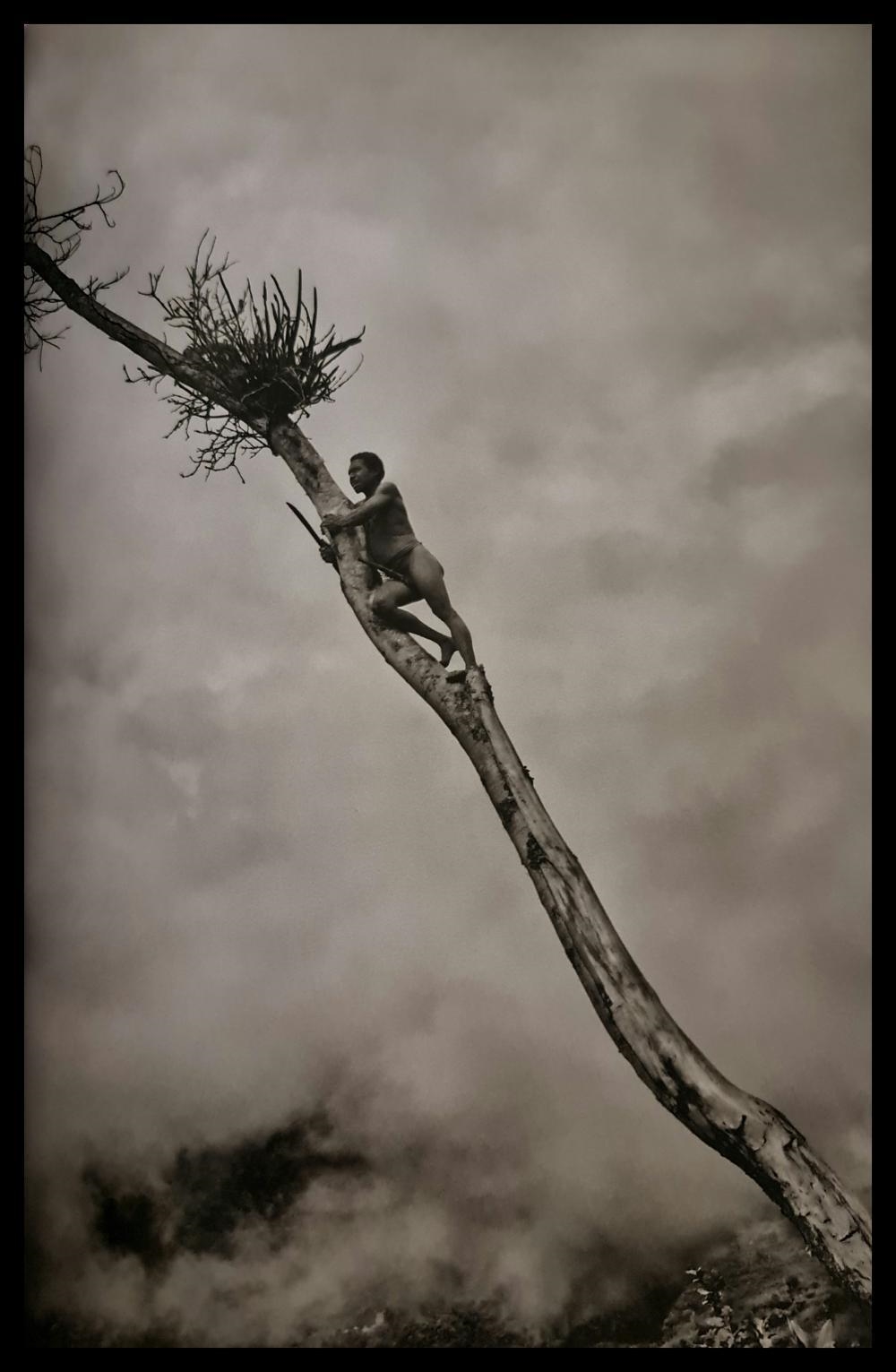 Sebastião Salgado | Sebastiao Salgado, Yali man, West Papua, Indonesia ...