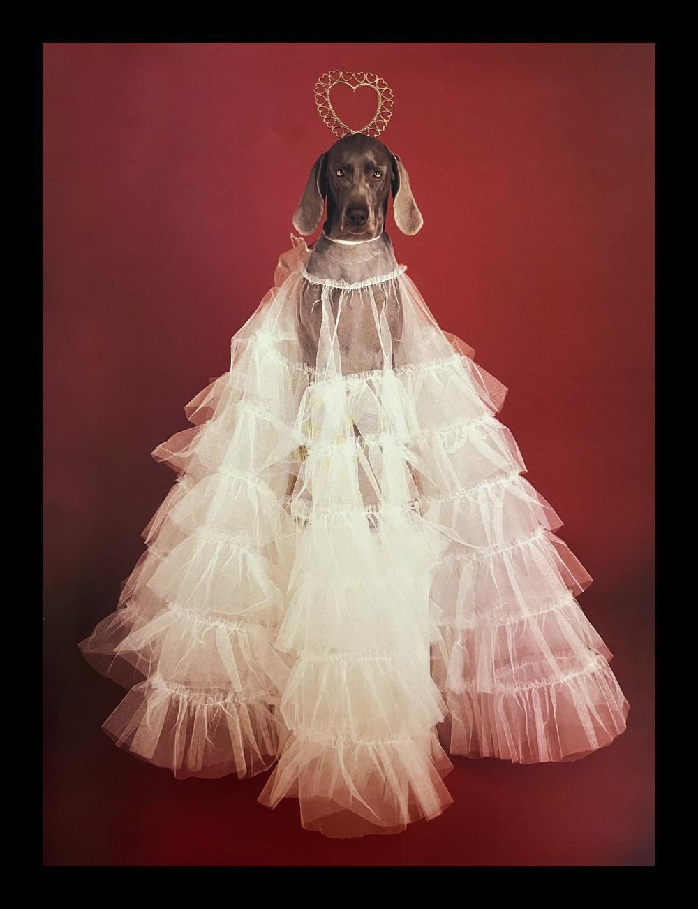 William Wegman | William Wegman, Captured Your Heart (1994) | MutualArt