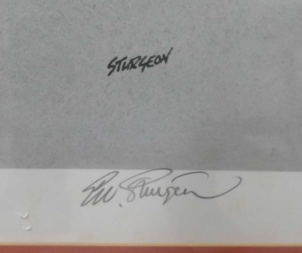 Eugene Richard Sturgeon | E | MutualArt