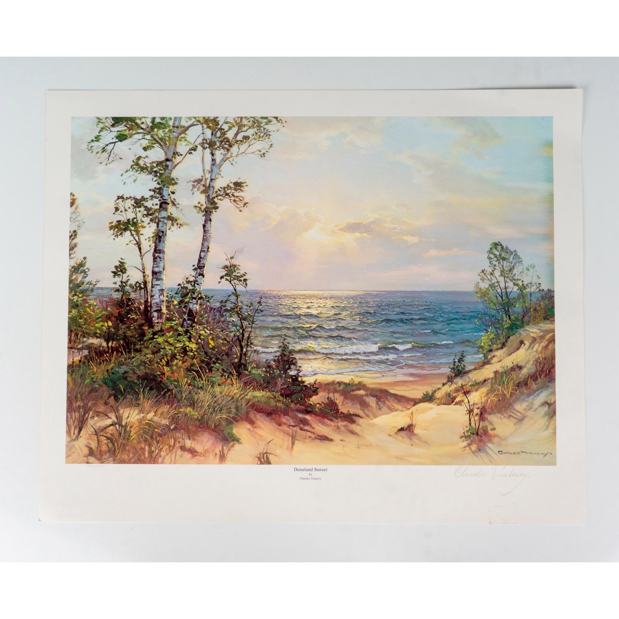 Charles Vickery | Duneland Sunset is a depiction of the sun setting ...