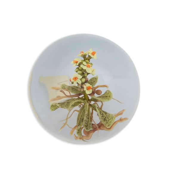 Paul Stankard | BOTANICAL PAPERWEIGHT WITH ROOT PEOPLE (92) | MutualArt