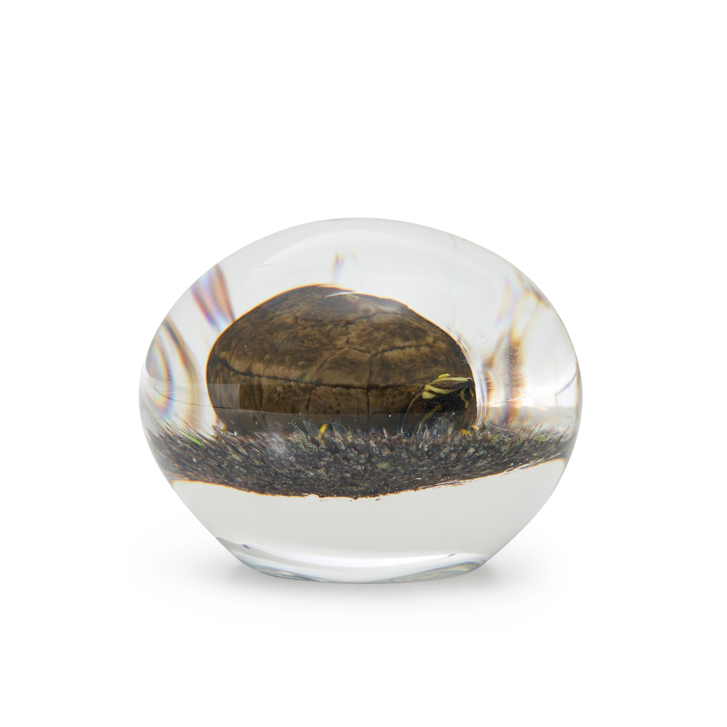 Rick Ayotte | TURTLE ON MOSS PAPERWEIGHT (97) | MutualArt