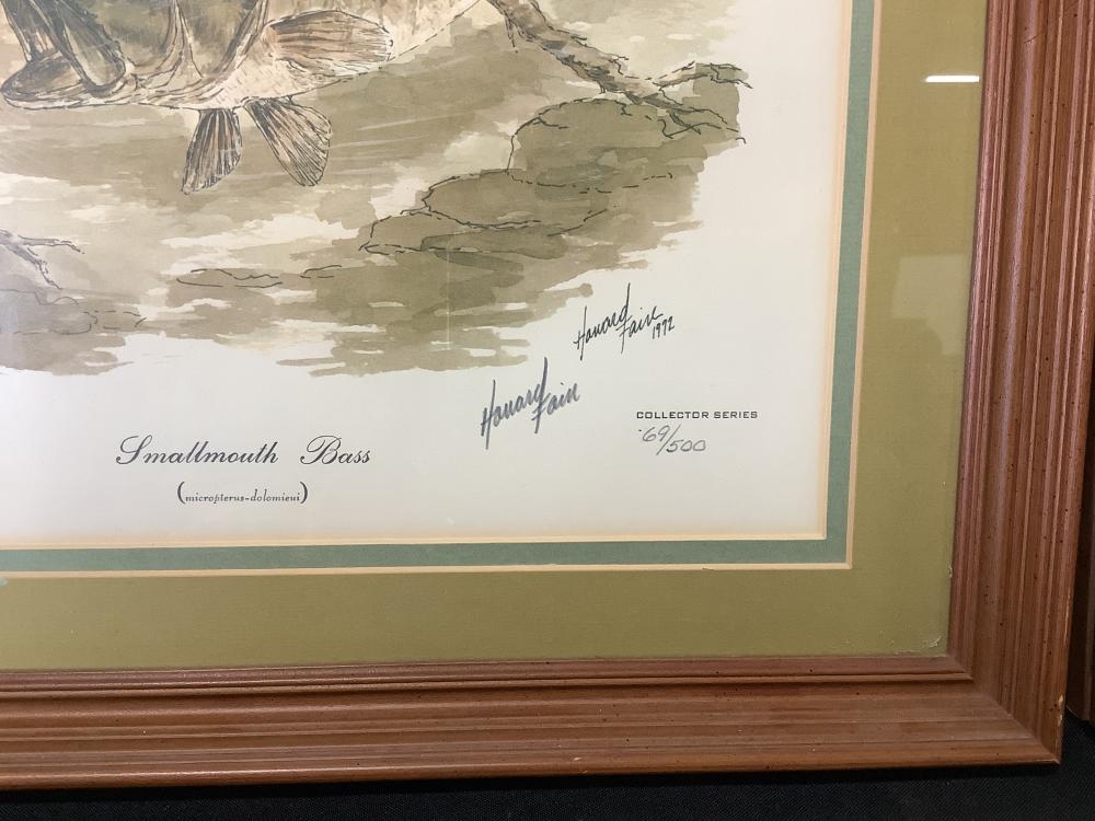 Howard Fain | Set of Three Signed Fish Prints by Howard Fain (1000 ...