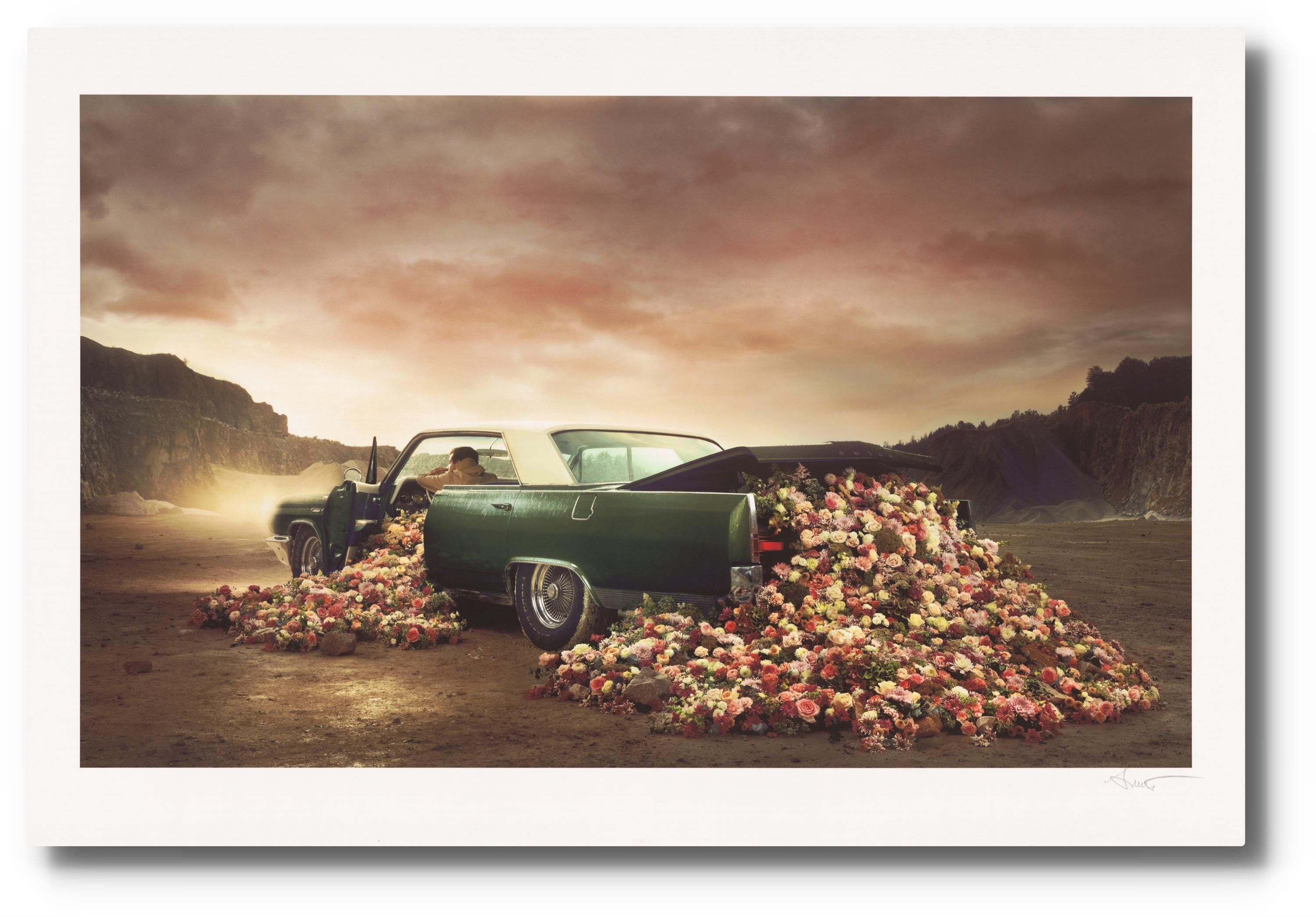 Martin Stranka | I BLOOM FOR YOU | MutualArt