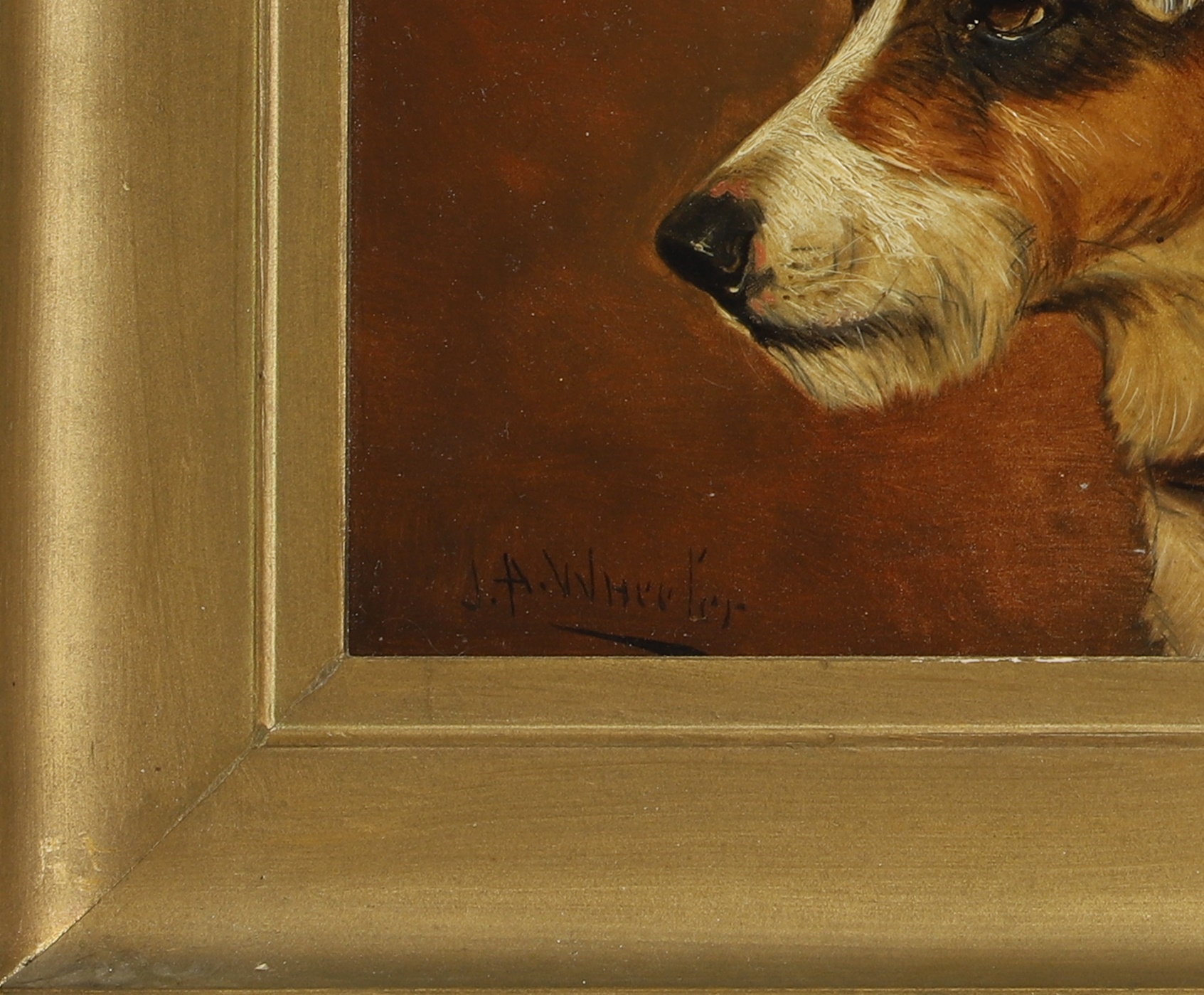 Alfred Wheeler | Two Jack Russell terriers | MutualArt
