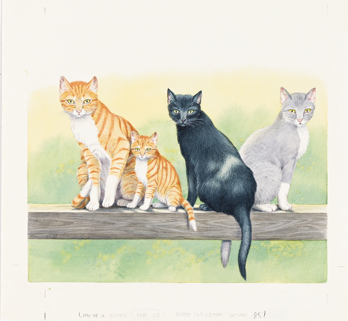 Peter Barrett | PETER BARRETT (1935 (1997) | MutualArt