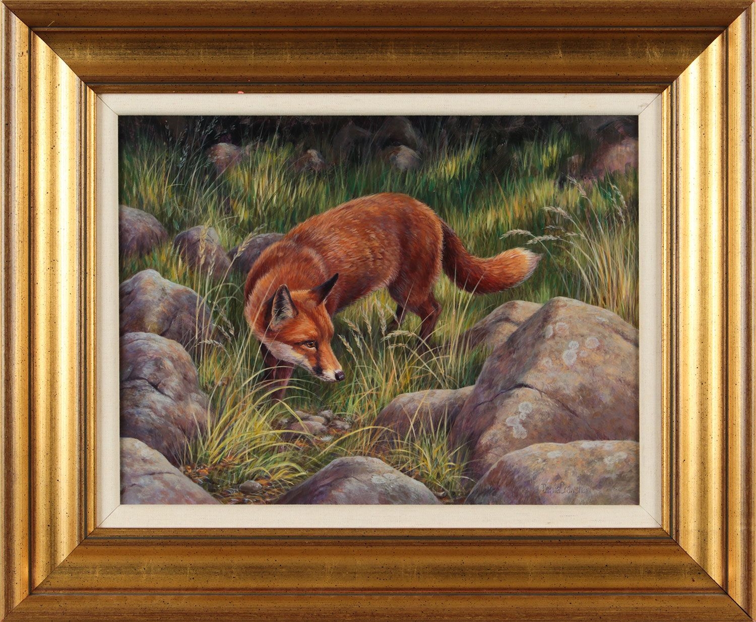 Donna Crawshaw | STUDY OF A FOX | MutualArt