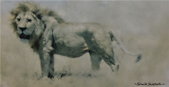 David Shepherd | Five illustrations of African wildlife | MutualArt