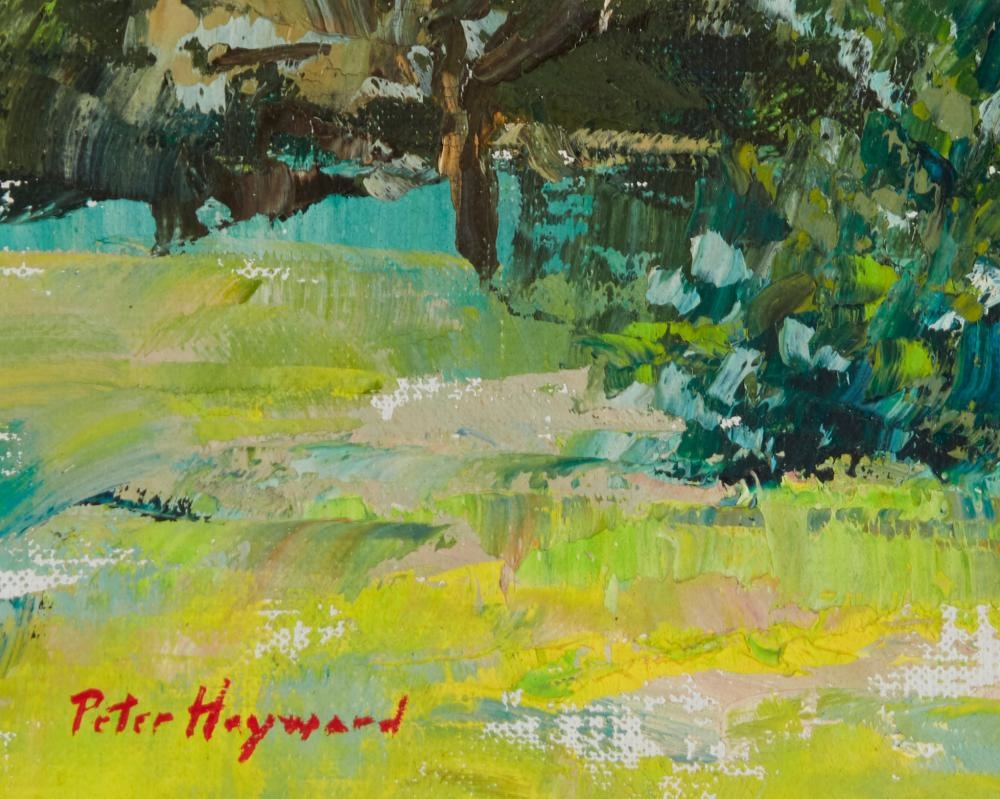 Peter Hayward | Hawaiian landscape | MutualArt
