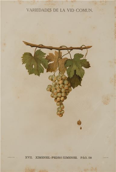 Simon de Rojas Clemente Y Rubio | SIMON DE ROJAS CLEMENTE Y RUBIO ...