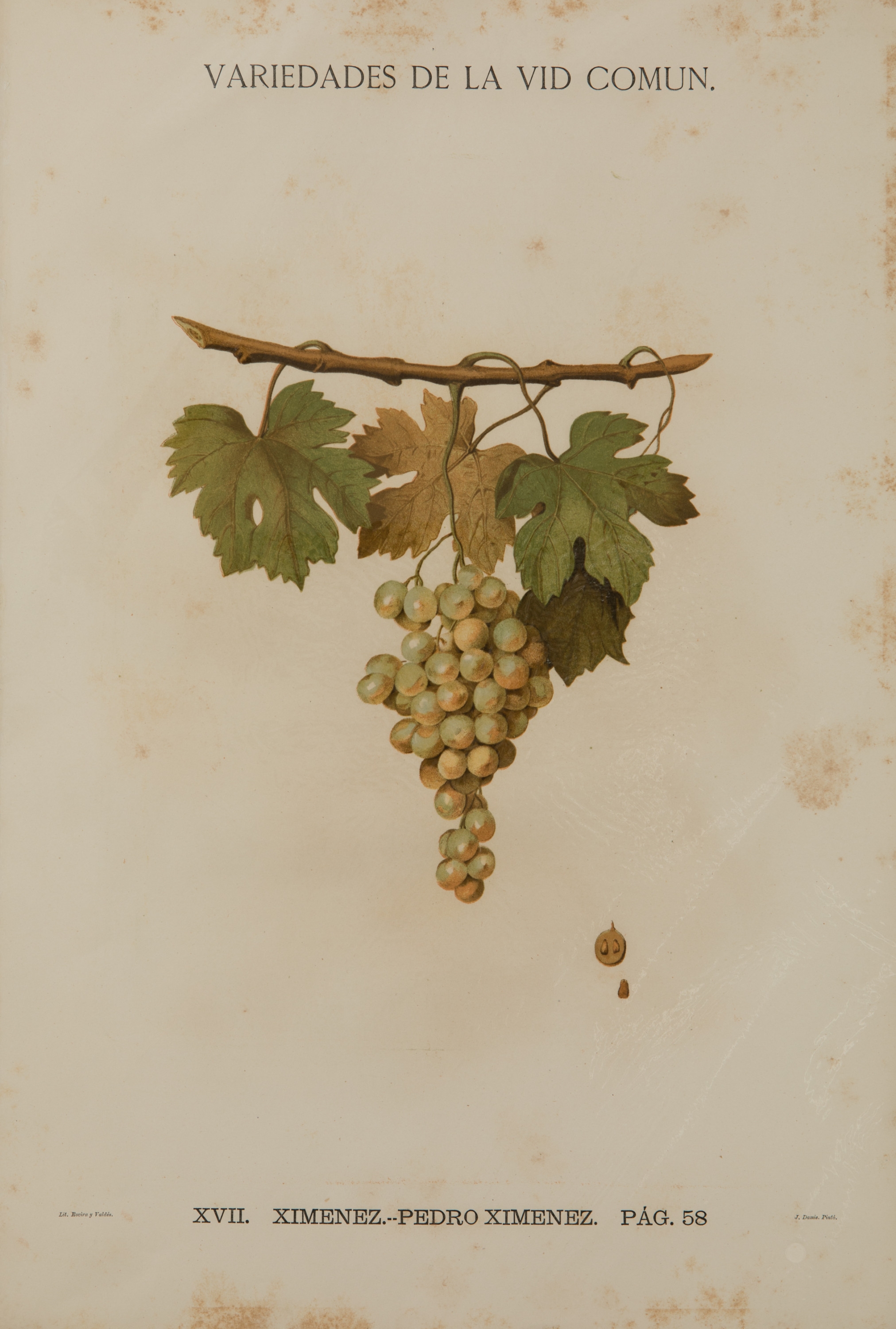 Simon de Rojas Clemente Y Rubio | SIMON DE ROJAS CLEMENTE Y RUBIO ...