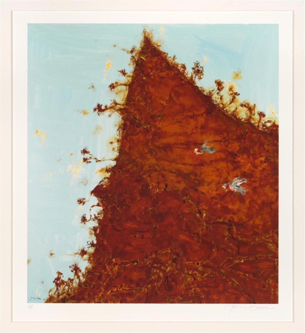 John Olsen | Original John Olsen Galah's Against Hillside Artist Proof ...