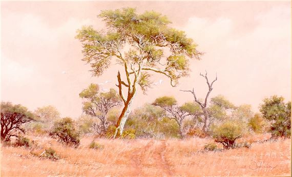 David Johnson | BUSHVELD SCENE | MutualArt