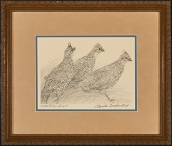 Charles Beckendorf | Bob White Quail, Desert Mule Deer, Blue Quail ...