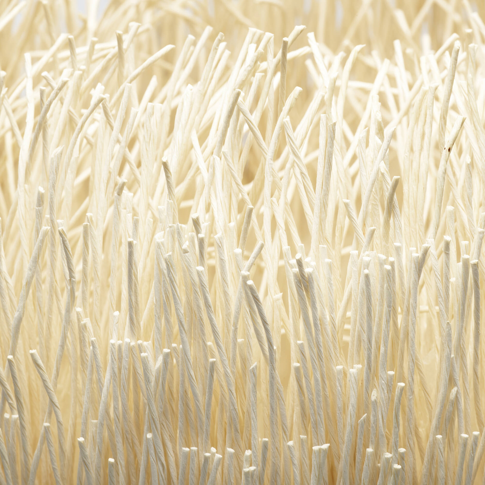 Mary Merkel-Hess | Stepped (2001) | MutualArt