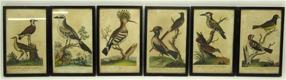 G. Edwards | The Great Cinereous Strike or Butcher Bird (1798 - 1804 ...