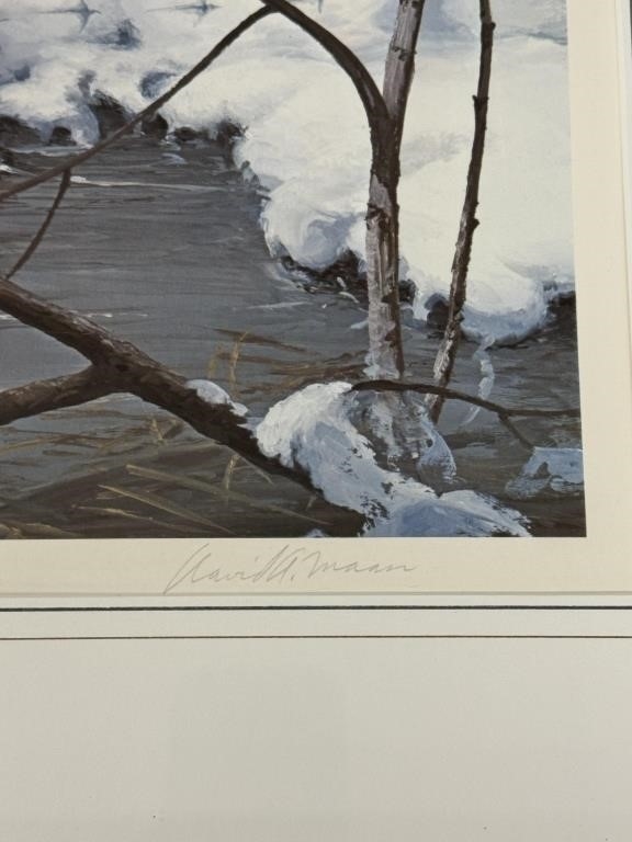 David Maass | David Maass Artist Signed Print of Quail | MutualArt